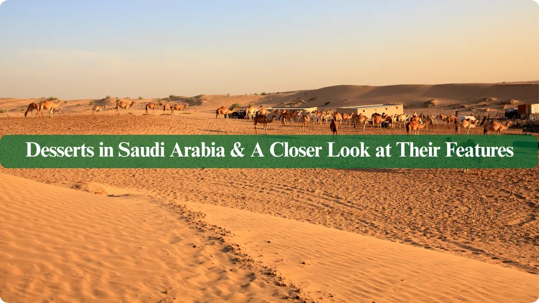 Deserts in Saudi Arabia & A Closer Look at Their Features - KnowKsa Guide